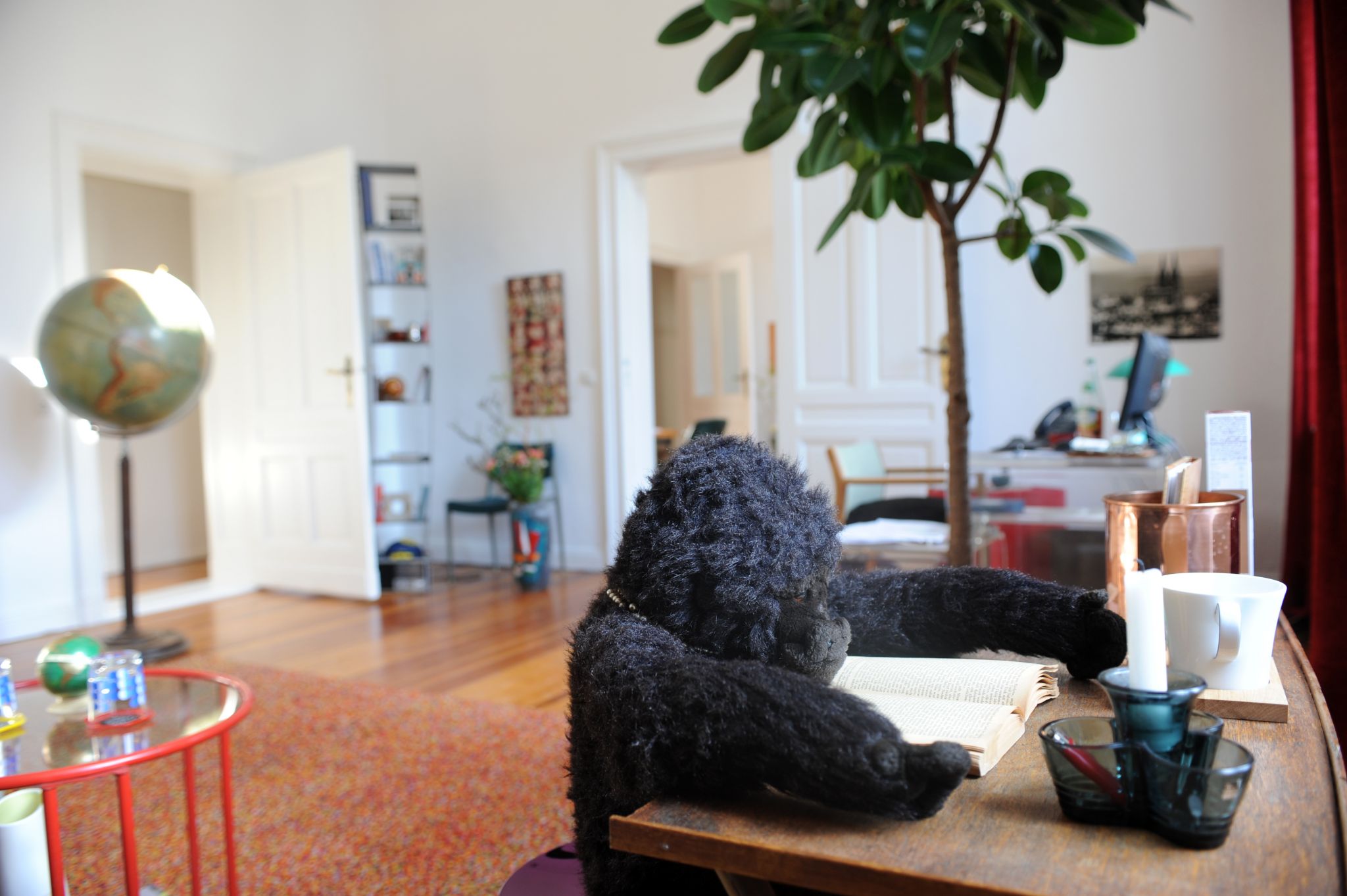 Wir – Barbarella Entertainment